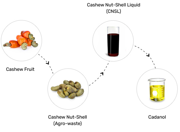 Pioneering CNSL Technology in Epoxy Manufacturing | NSPC