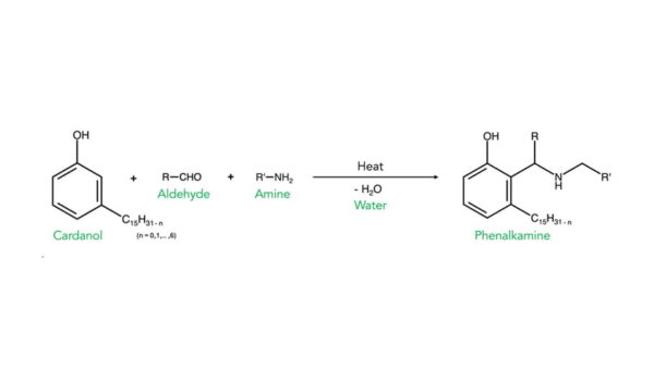 Cashew Nut Shells to Phenalkamines | NSPC Insights