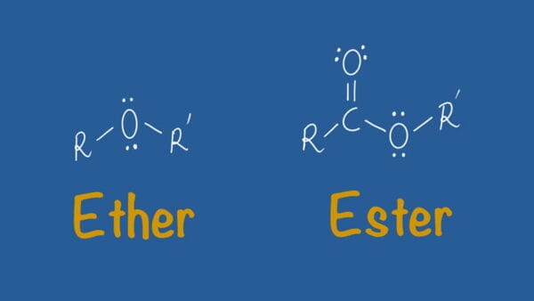 Ethers vs. Esters: Bonds That Last! - Nadkarni